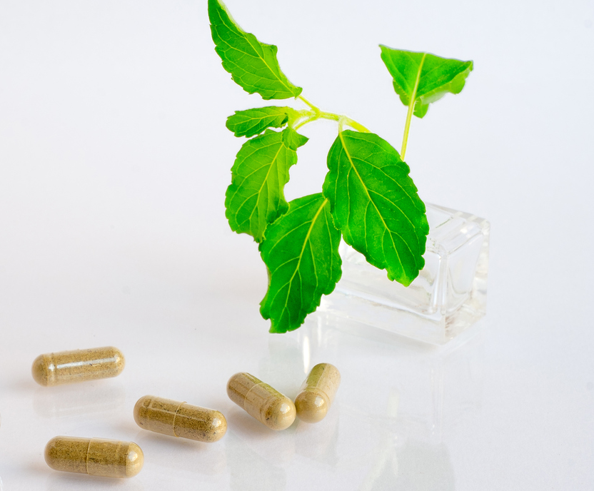 Ten reasons why Oyster Extract Capsules are a superior Zinc Supplement ...